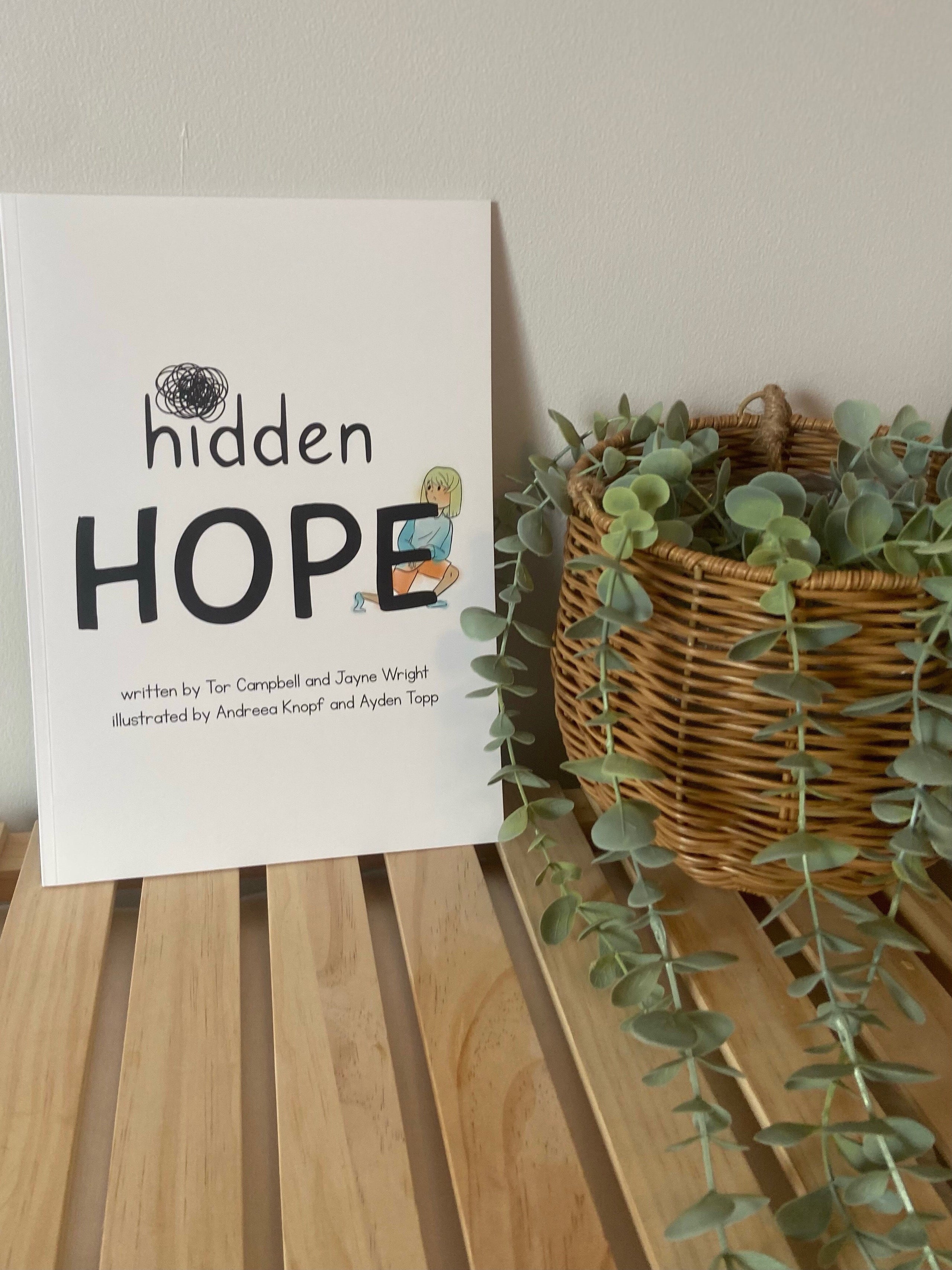 A4 Hidden Hope picture book | Hidden Picture Books